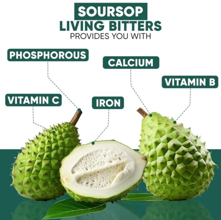 Soursop Bitters – Herbal Remedies & Health Benefits - Official Site